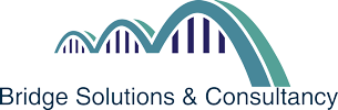 Bridge Solutions - Expert UK Education Consulting